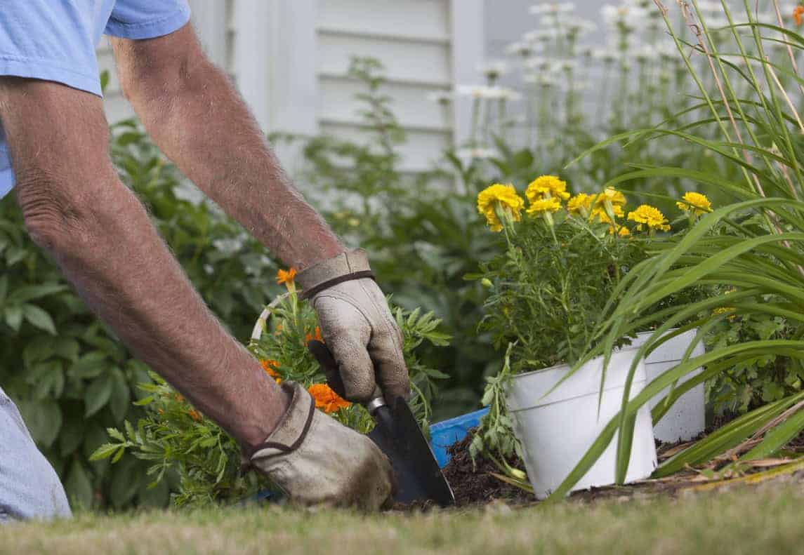19 Tools Every Man Should Have in His Garage - Alan's Factory Outlet